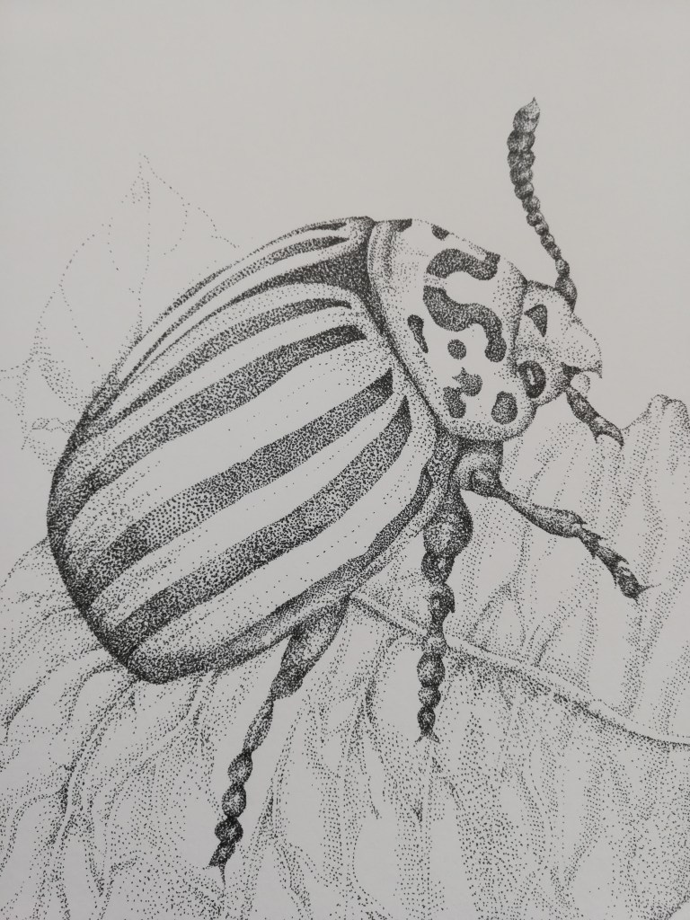 trauma-informed behavior analysis | Cusp Emergence